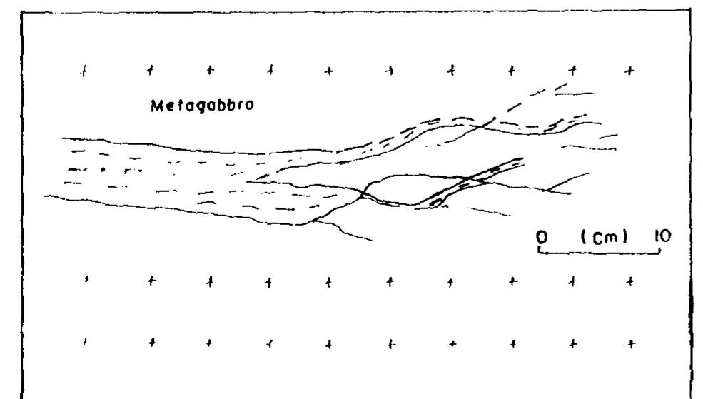 Sketch Depicting The Divergence Of Ductile Shear Zones To