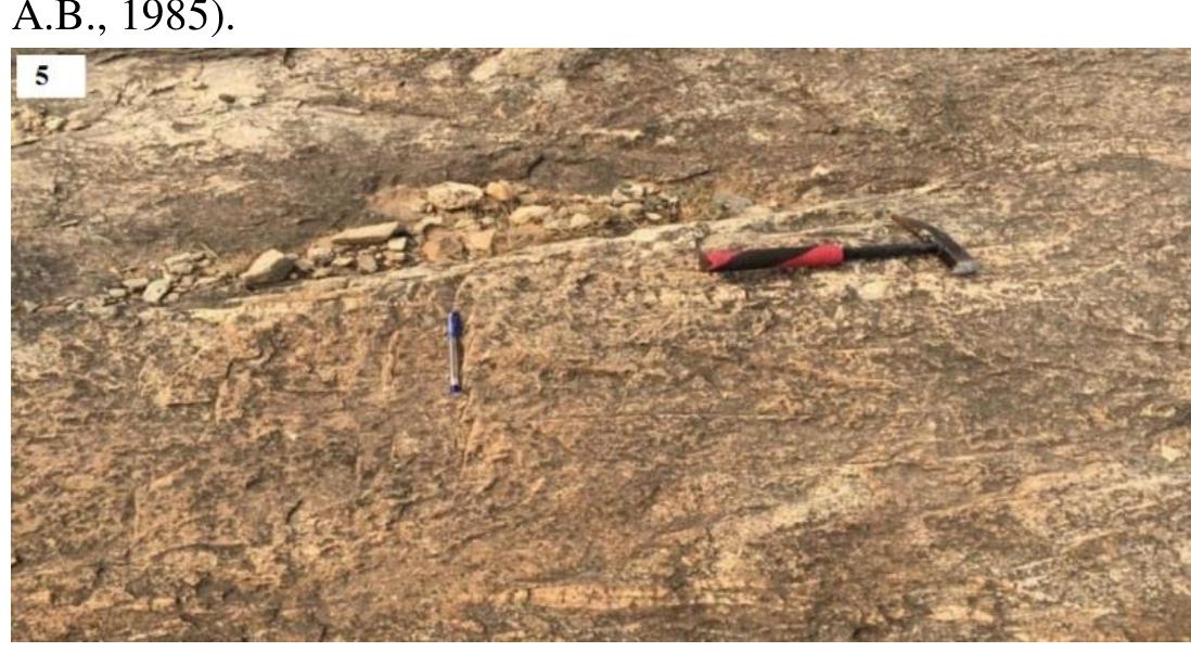 Iii. structural characteristics of the basement-cover rocks