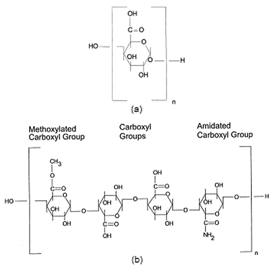 Chemical structure of polygalacturonic acid (a) and