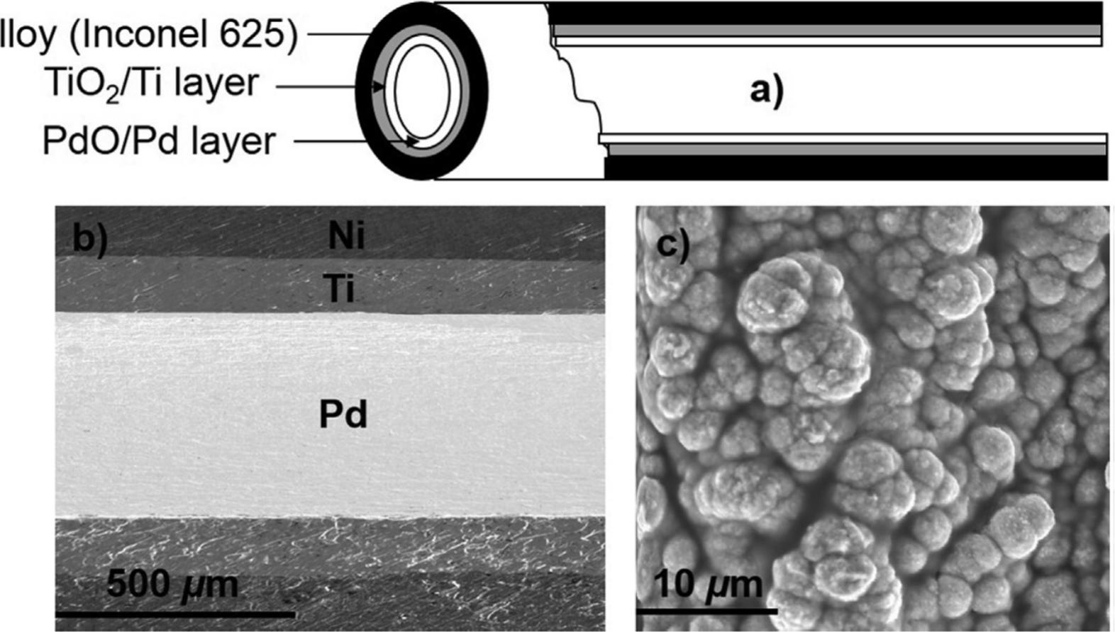 Images of the catalytic tubular reactor: (a) schematic