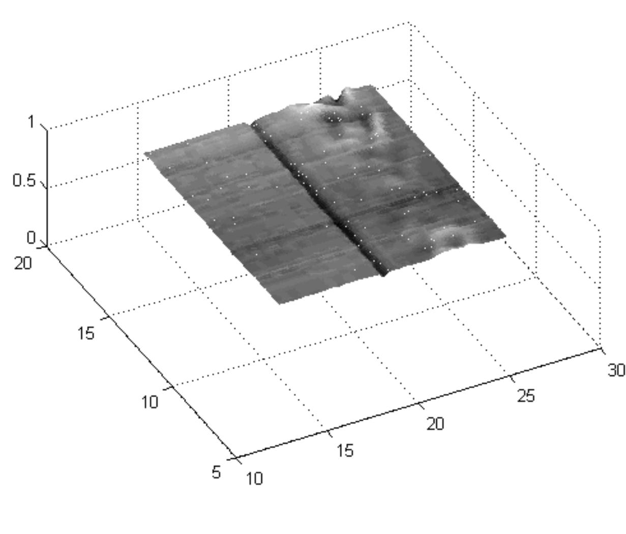 Figure 3 - Defect inspection of EUV mask blank using