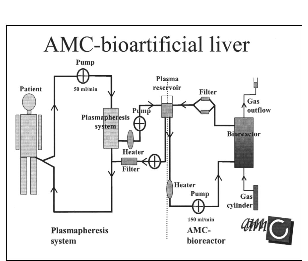 - schematic drawing of the amc-bal supply-system.