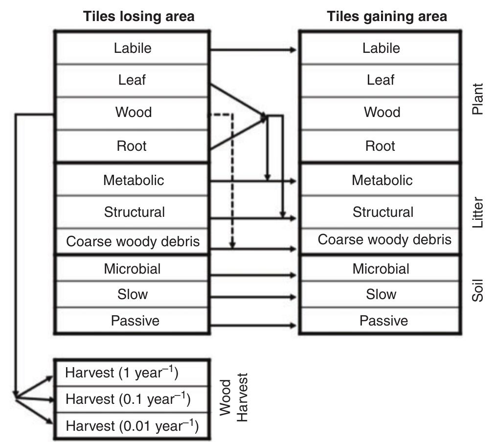 Schematic representation of land-use change in