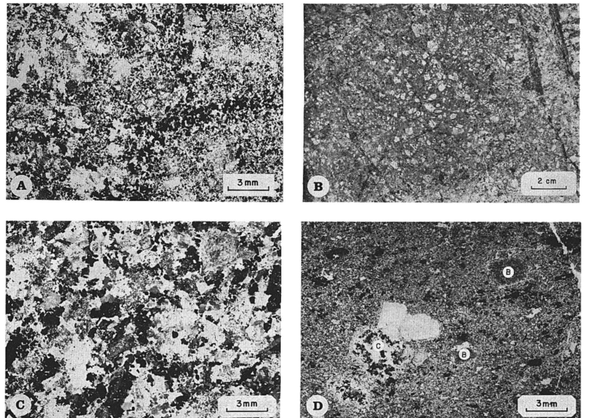 Fic. 8. textures of strong k-silicate alteration in “x”,