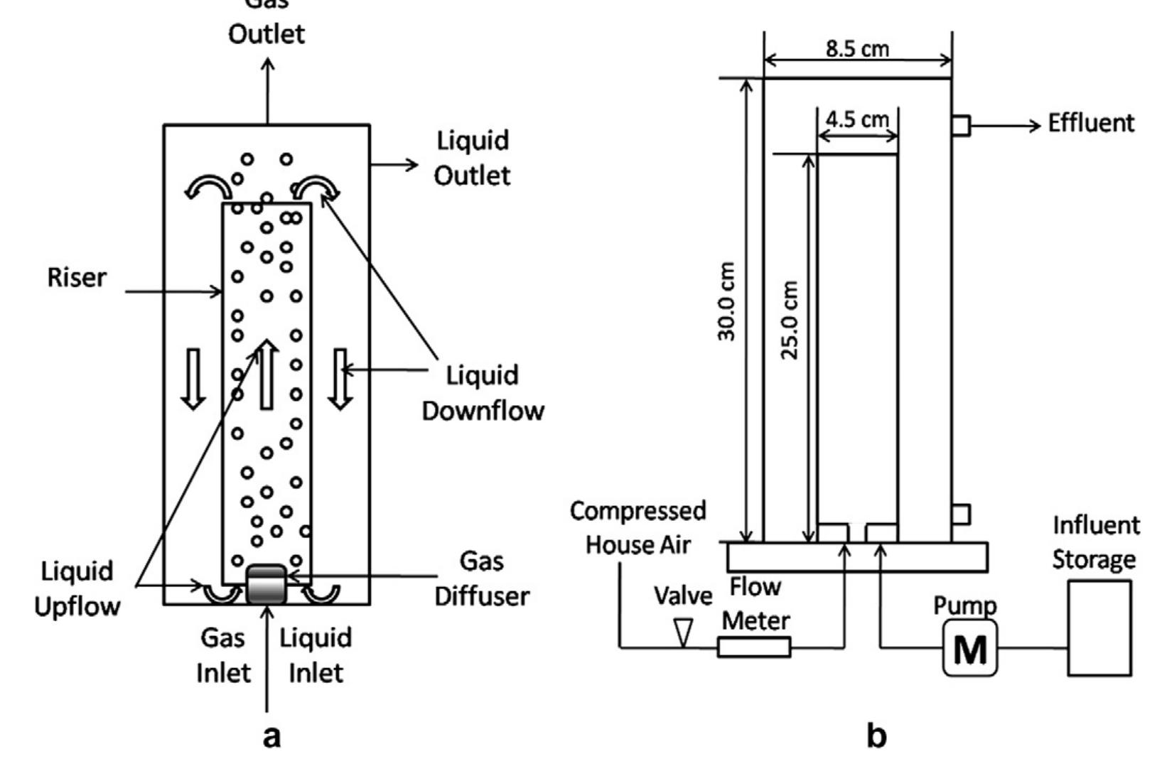 Airlift photobioreactor schematics: (a) showing reactor