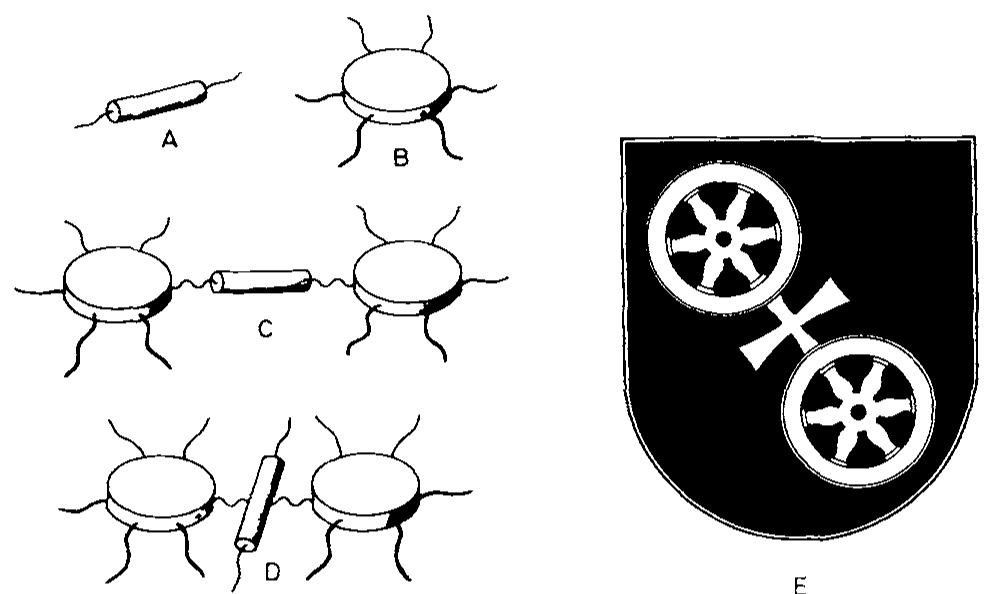 Schematic representation of the geometry of liquid crystal
