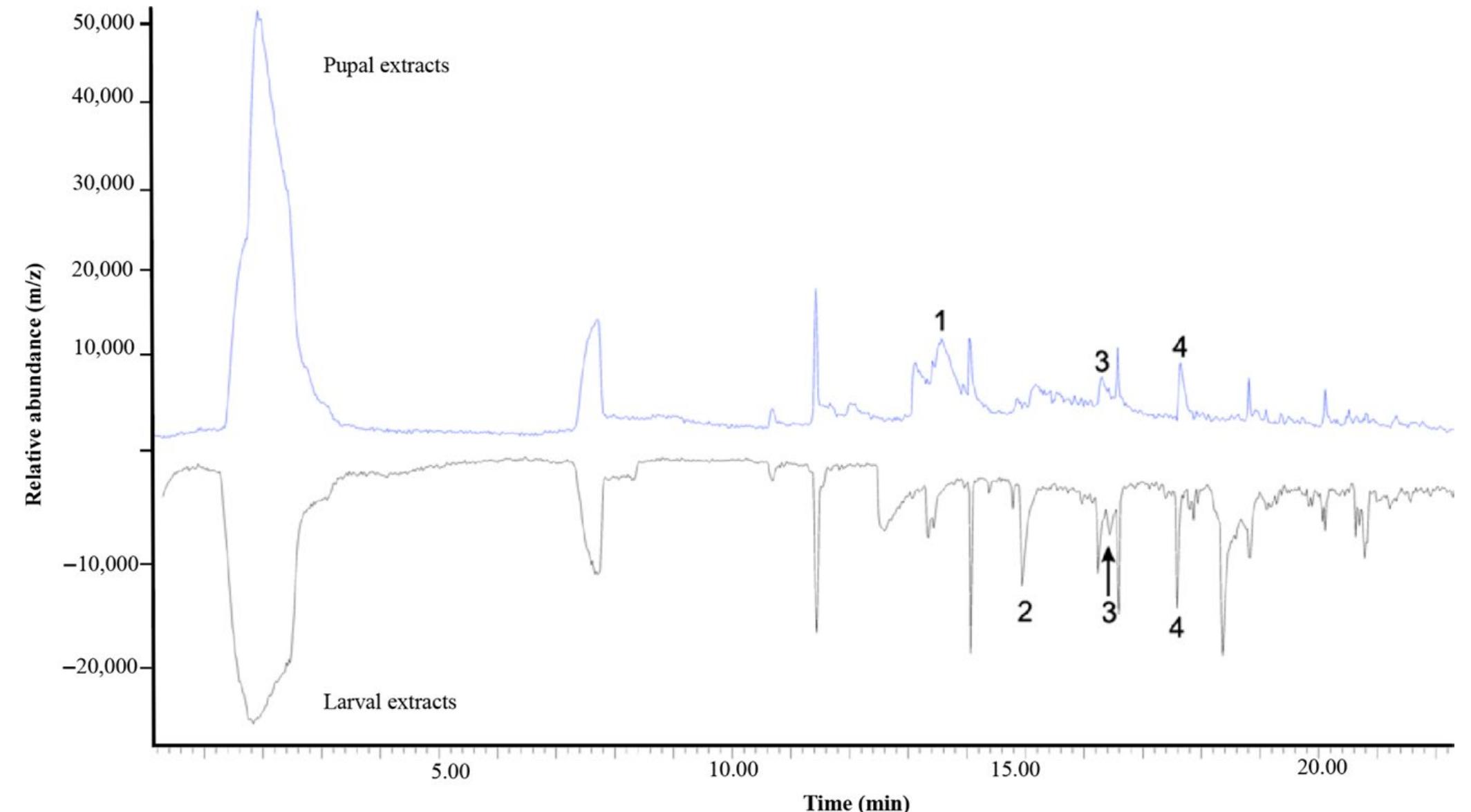 Gas chromatography-mass spectrometry (gc-ms) profiles for