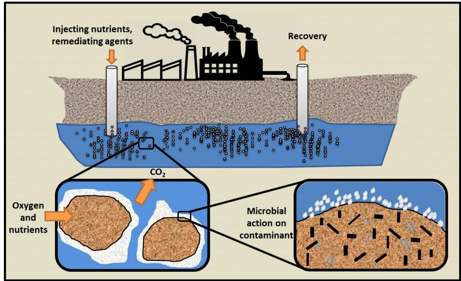 An illustration of the general process used in the