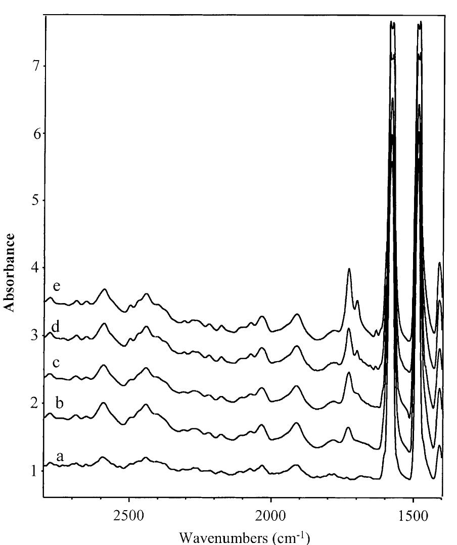 Figure 1 - from Hydrophilic modification of polyethersulfone