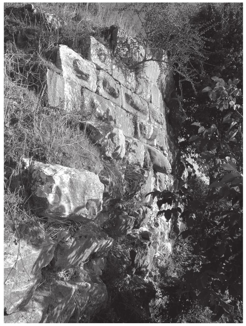 Tower f, the western face: preserved talus with three