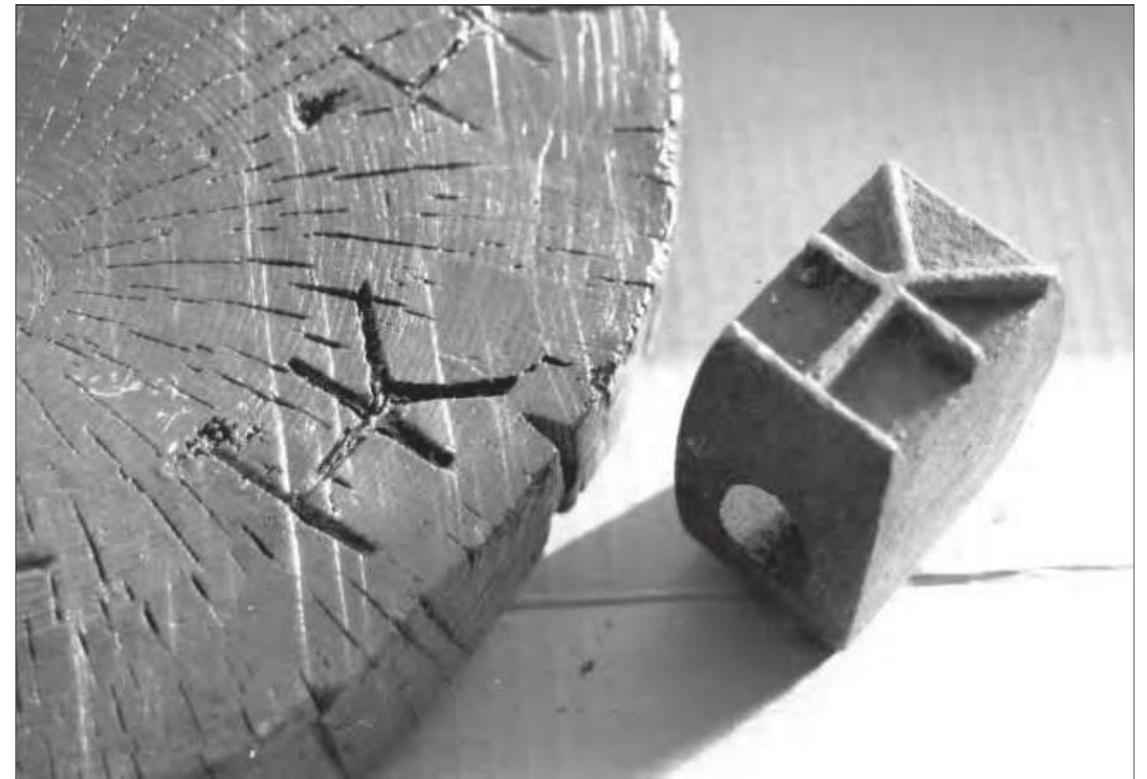 Figure 10 - from Past in the Pines: The Archaeology of