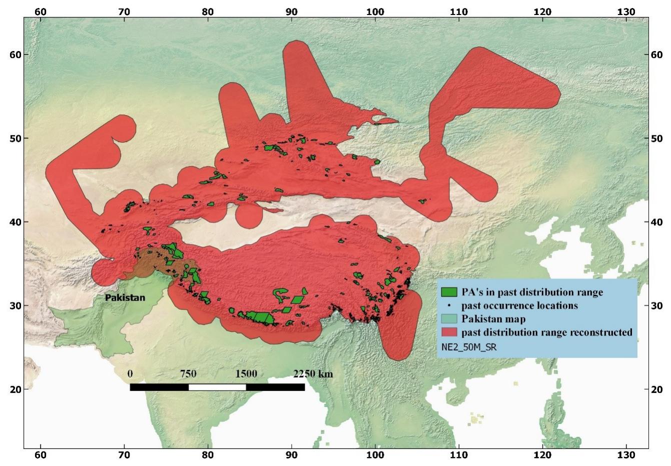 Gis-based map of snow leopard (panthera uncia) in relation