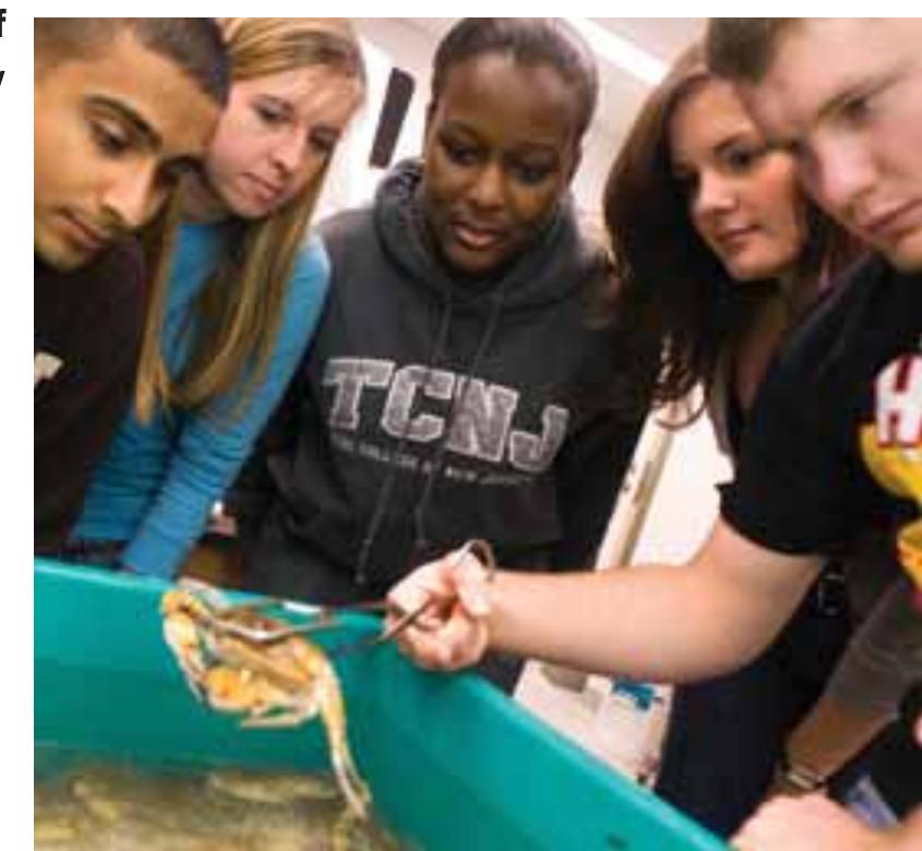 Figure 4 Horizontal And Vertical Structures The Dynamics