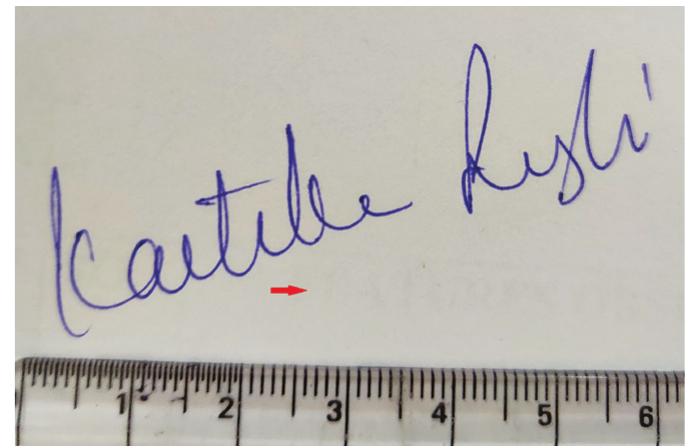 A. the absence of rubric in pen-paper signature be due to