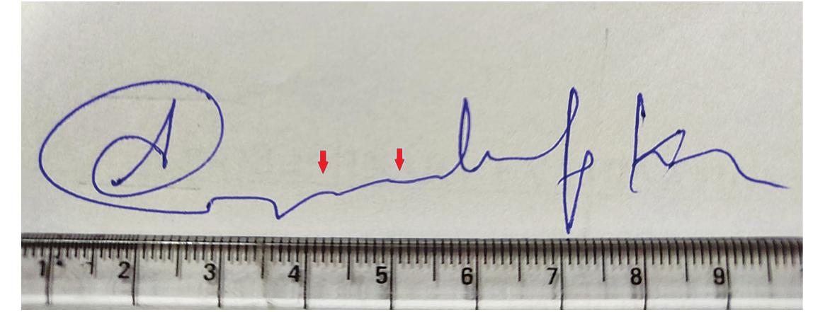 A. the simplified letters in pen-paper signature