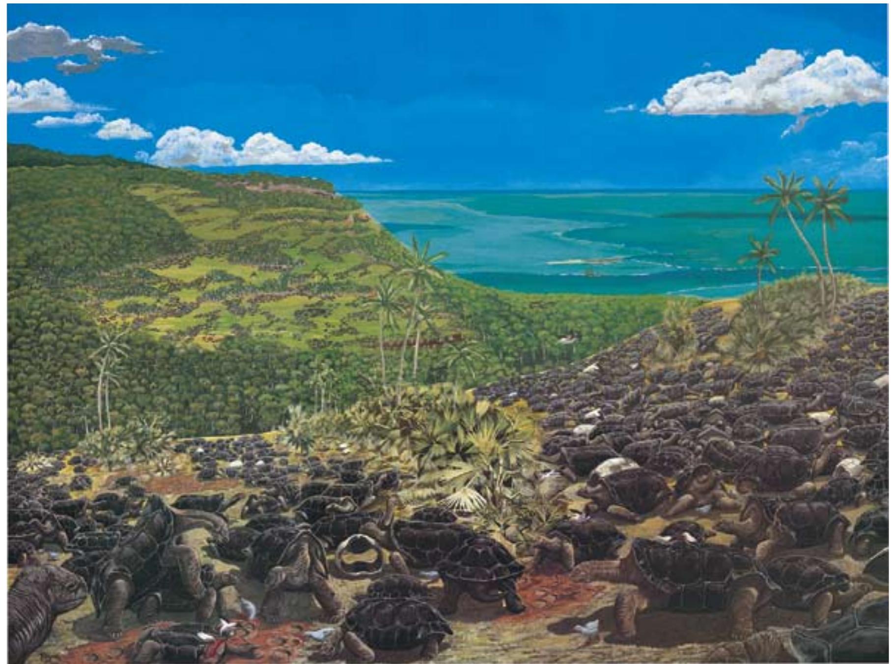 Depiction of two species of extinct giant tortoises,