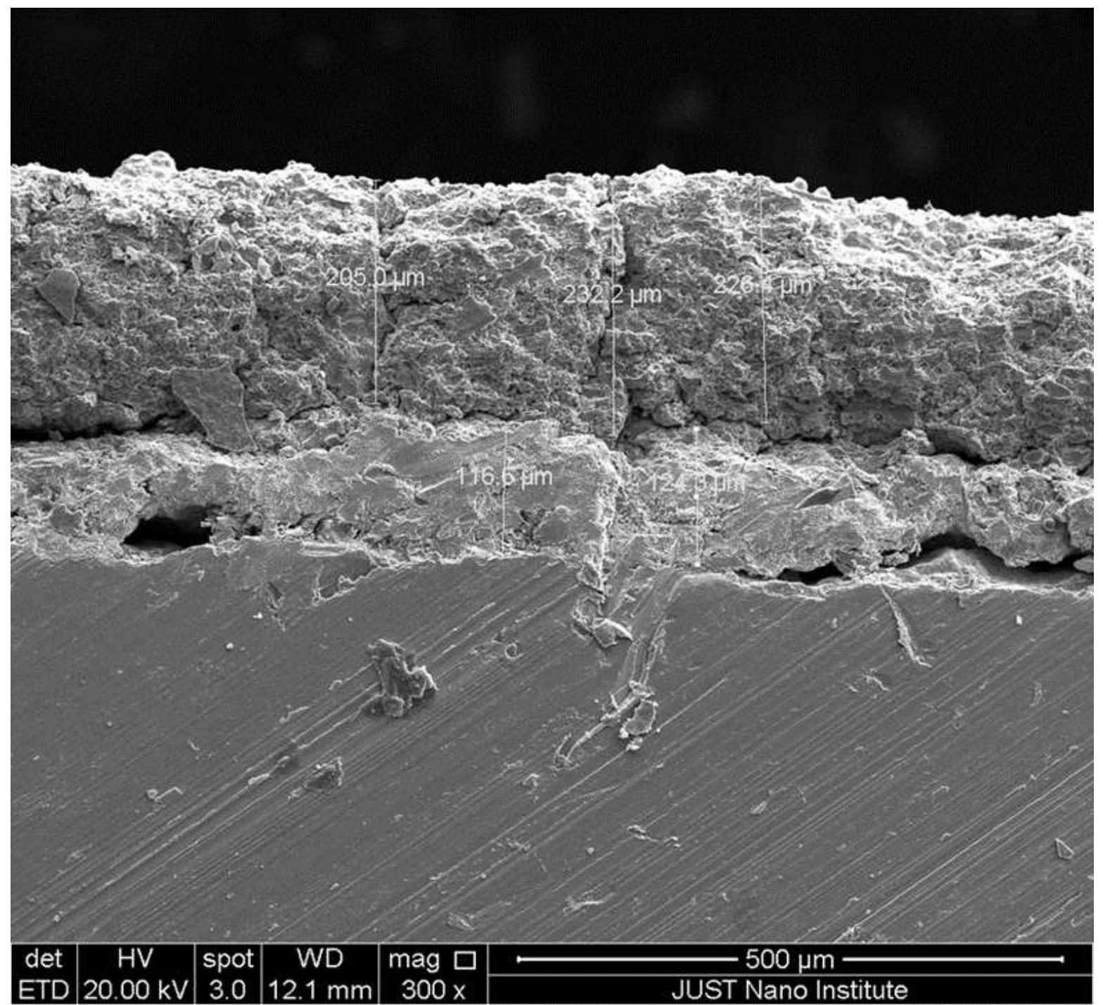 Sem image of the cross-section of the yag showing