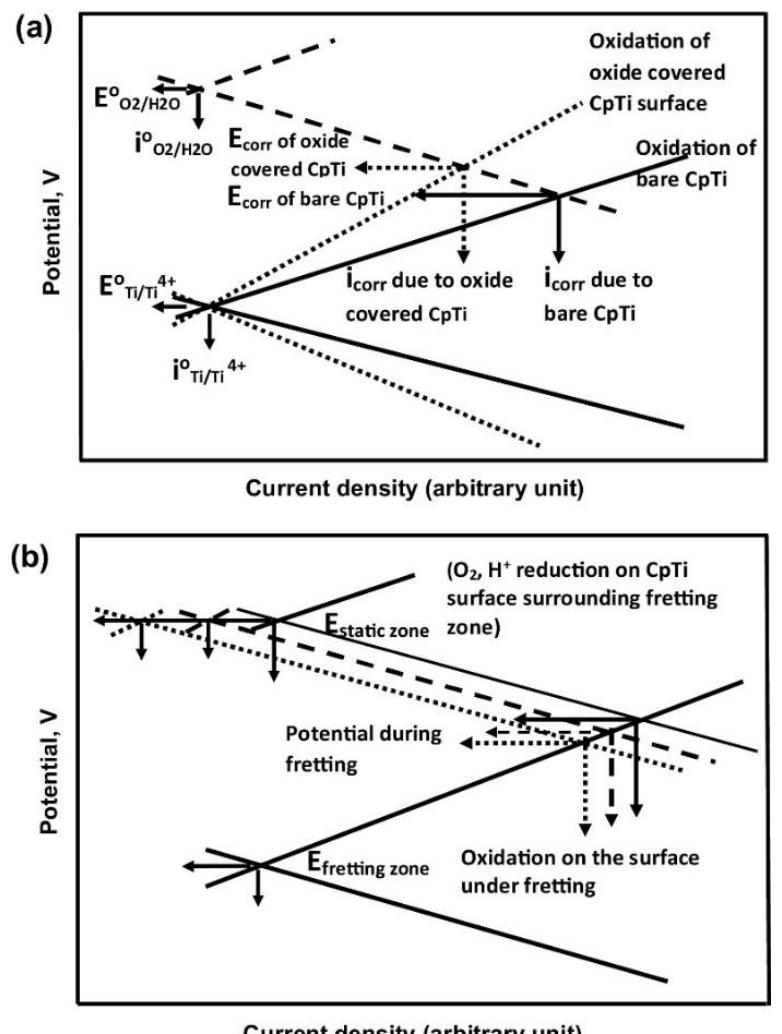 Evans diagrams illustrating the change in potential and