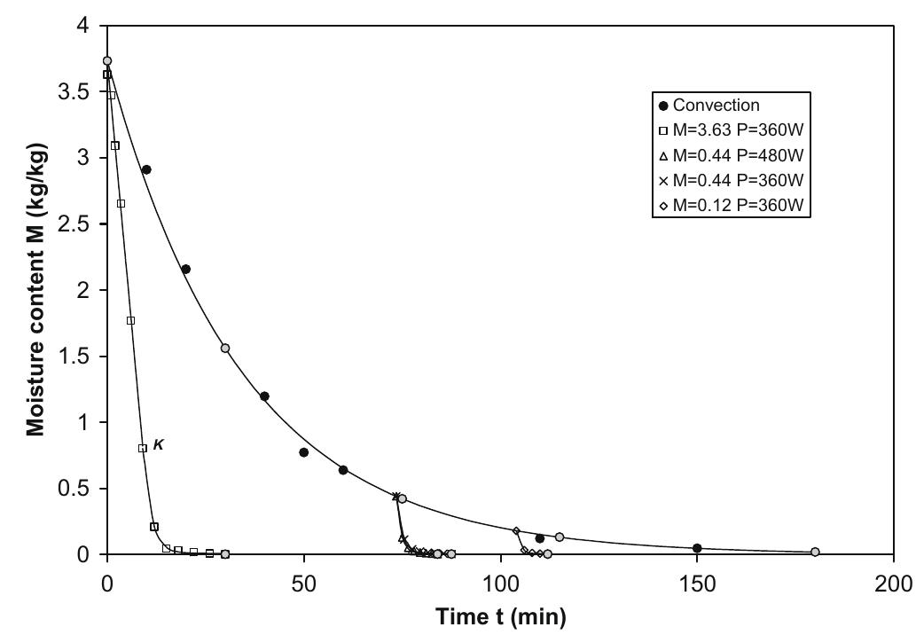 Schematic representation of the drying processes under study