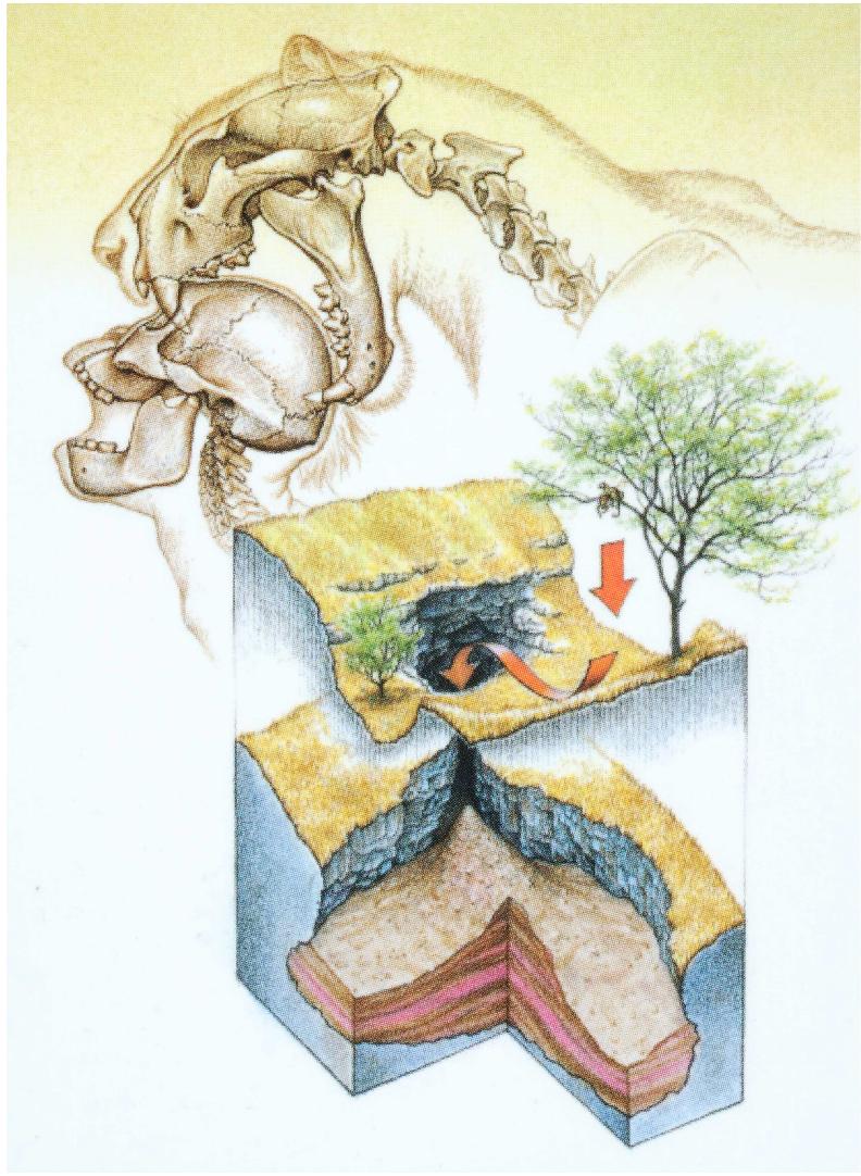 Interpretacion de bob brian sobre la acumulacion en stwar-