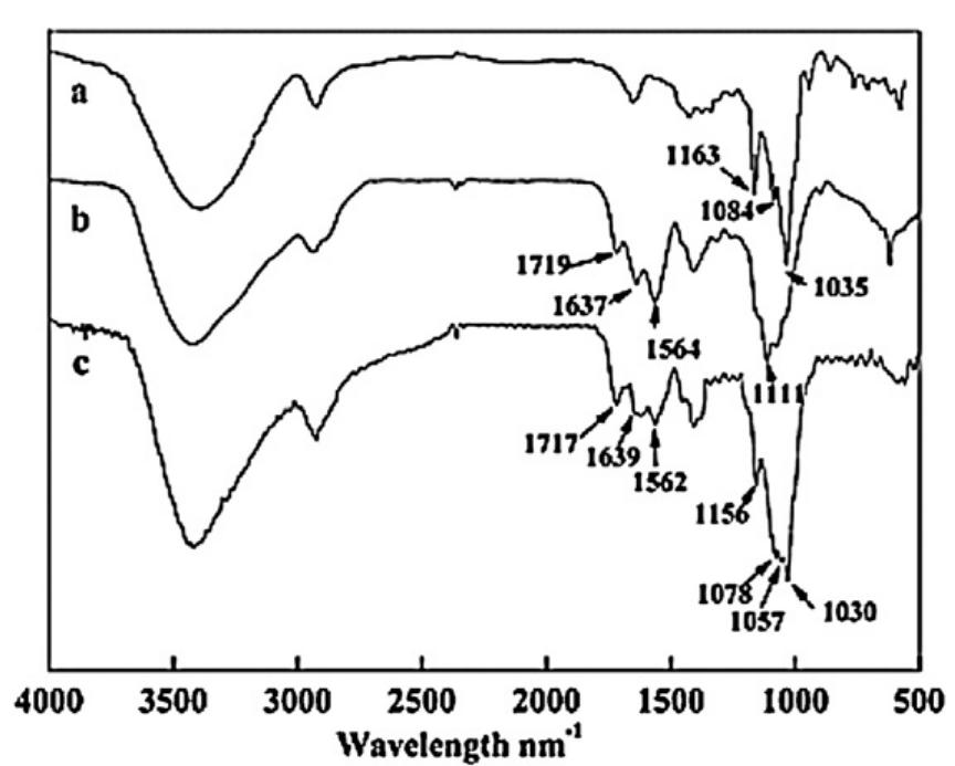 Ft-ir spectra of (a) cyclodextrin, (b) cs-paa, and (c)