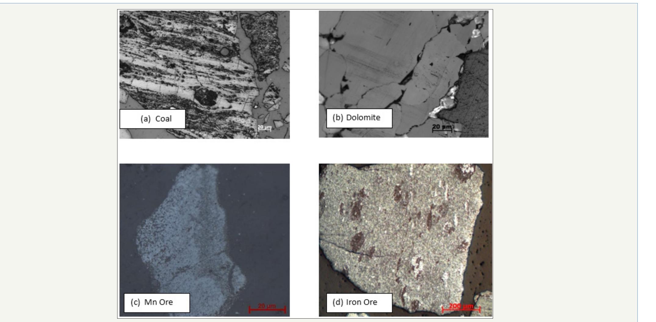 Microscopic views of particle surfaces of samples. coal: