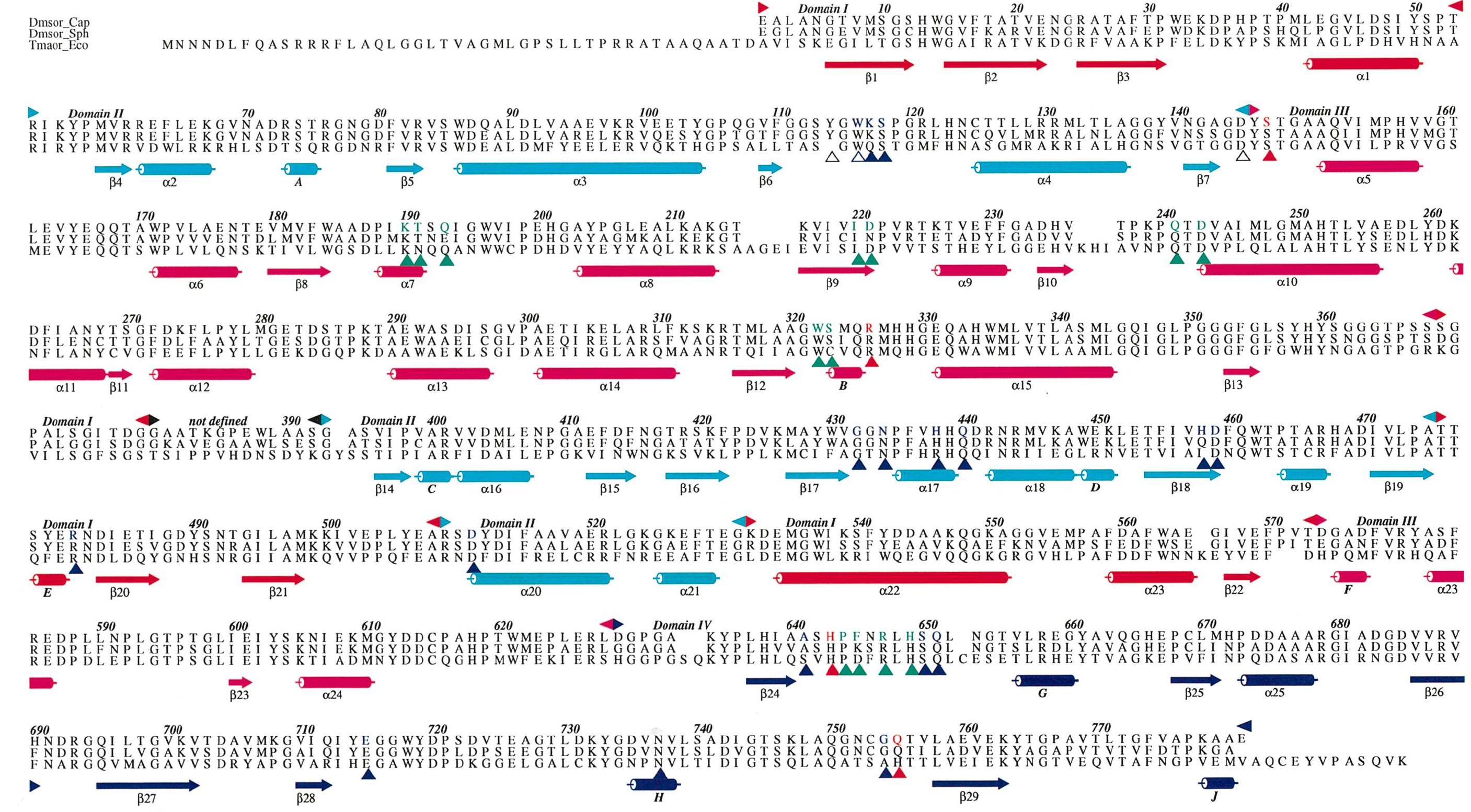 Sequence alignment (gcg, 1994) and secondary structure