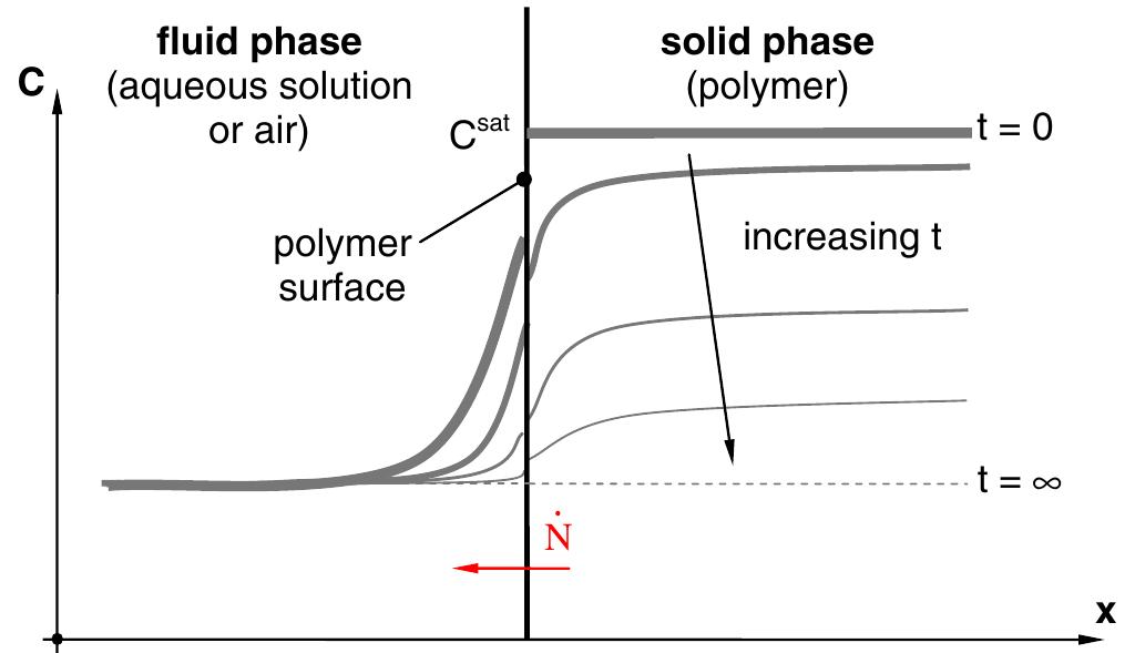 Schematic sketch of the concentration profiles occurring