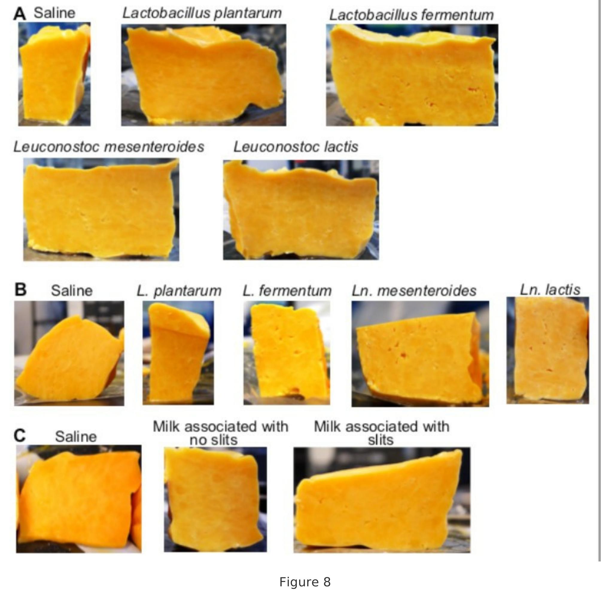 Representative photos of pilot cheese cross-sections. cheese