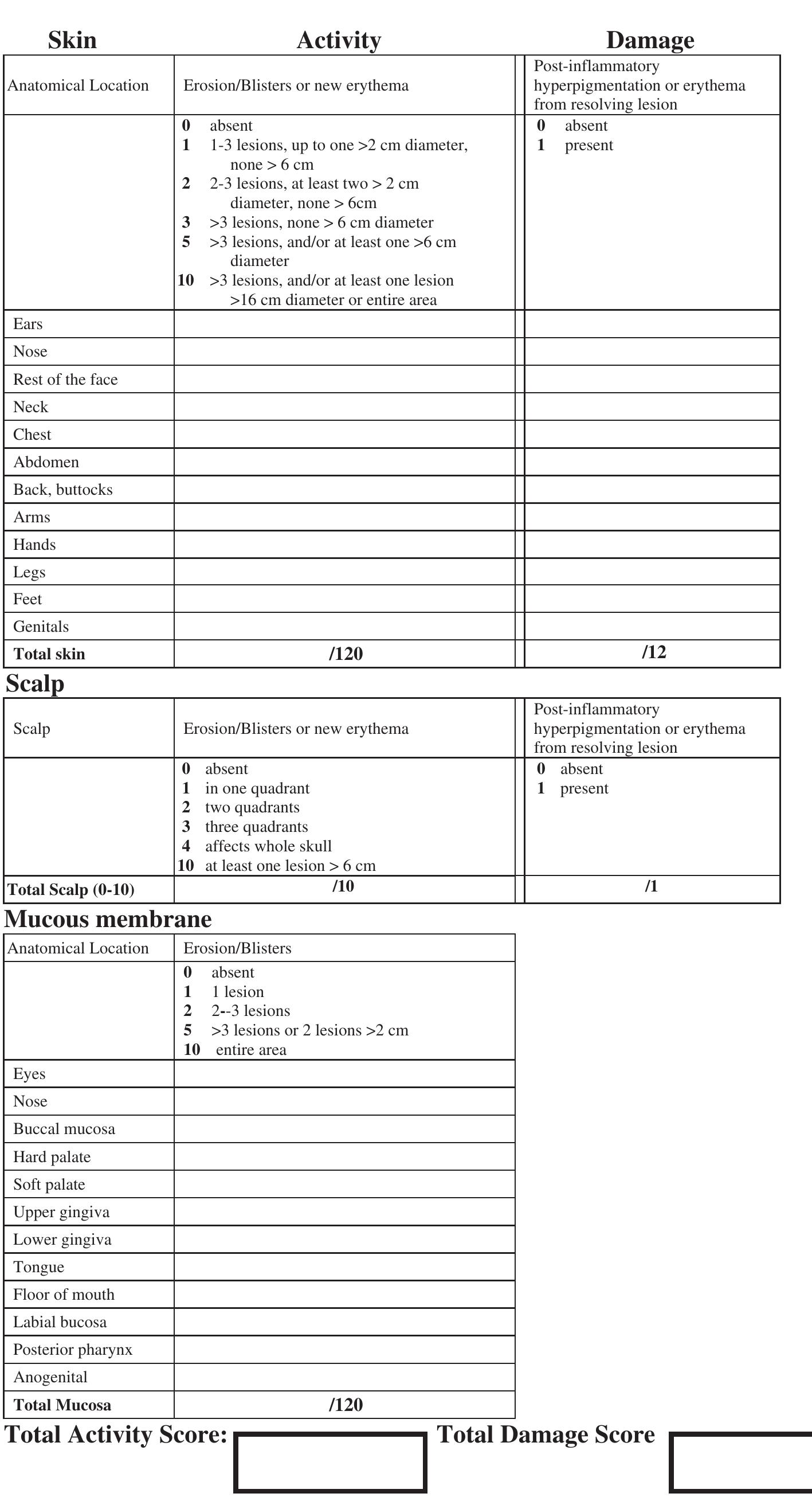 Pdai scoring sheet developed by the international pemphigus