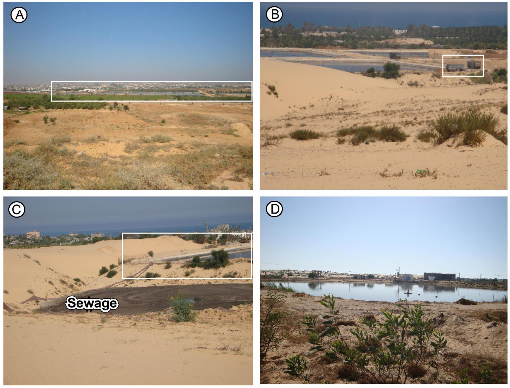 Field photographs of wastewater treatment basins above the