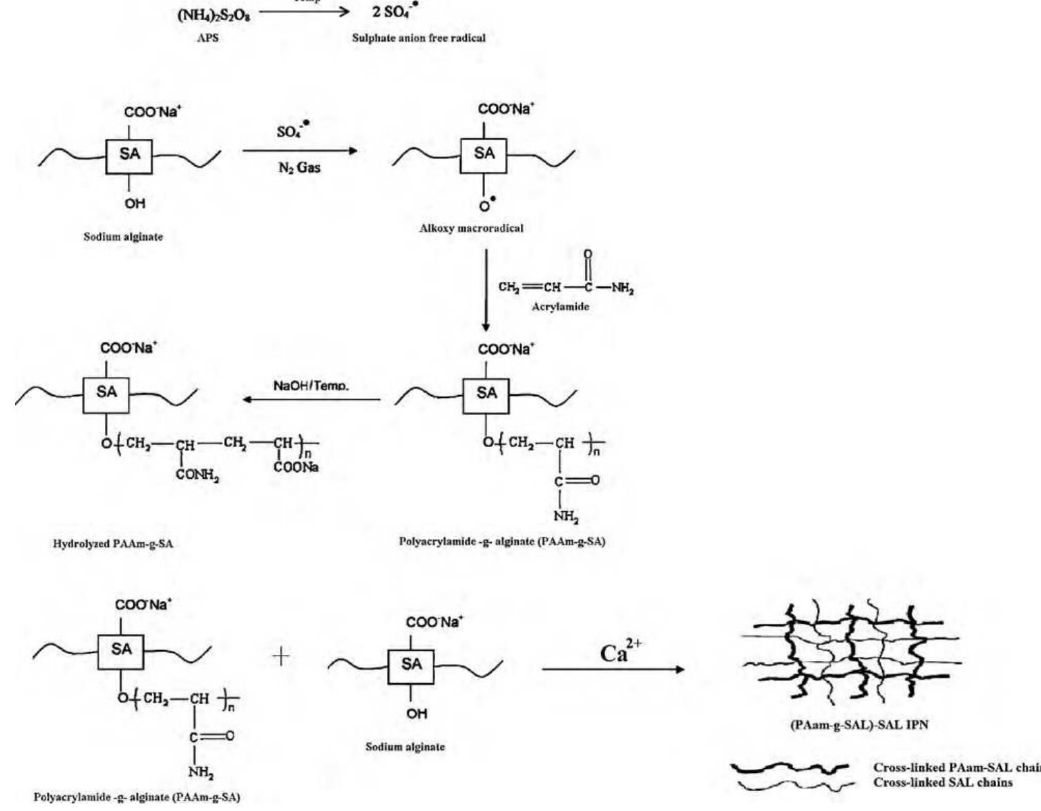 Schematic diagram representing the formation of ipn