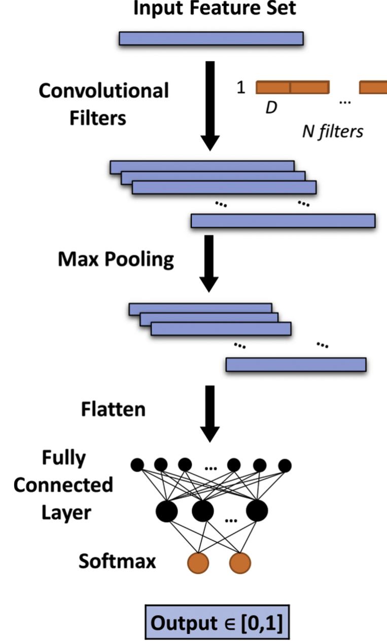 Convolutional Neural Network Architecture