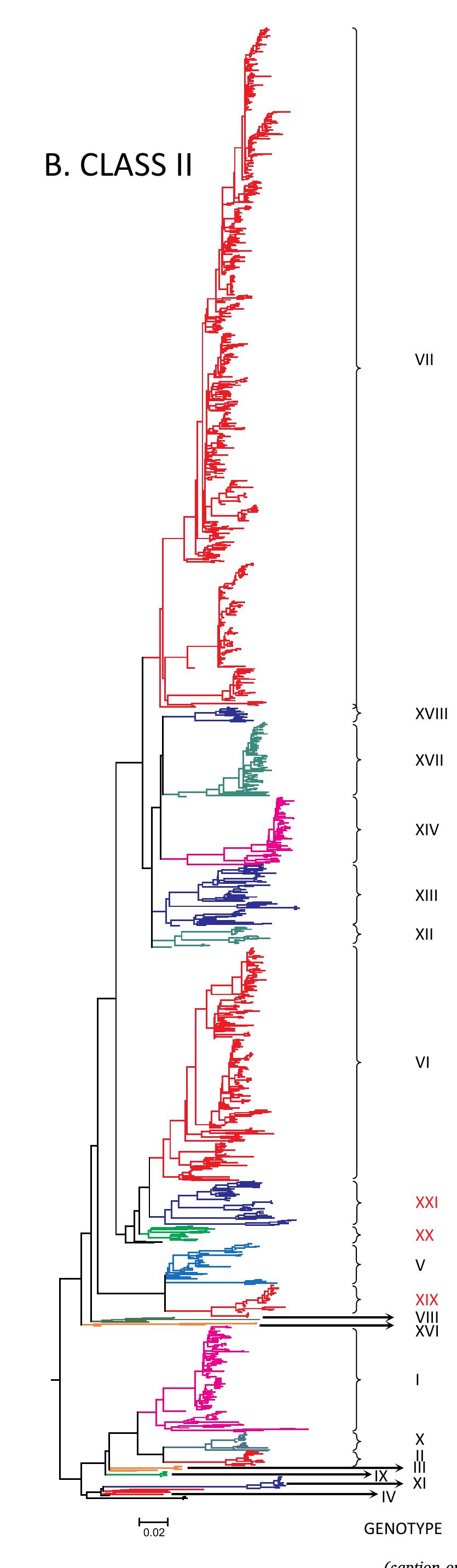 Figure 1 - Updated unified phylogenetic classification