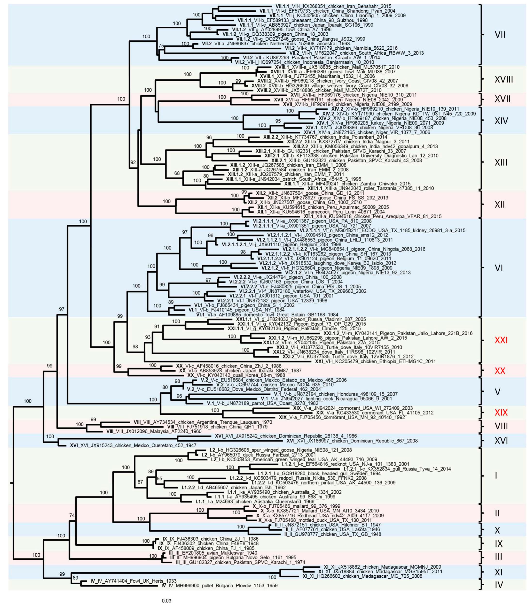 Figure 3 - Updated unified phylogenetic classification