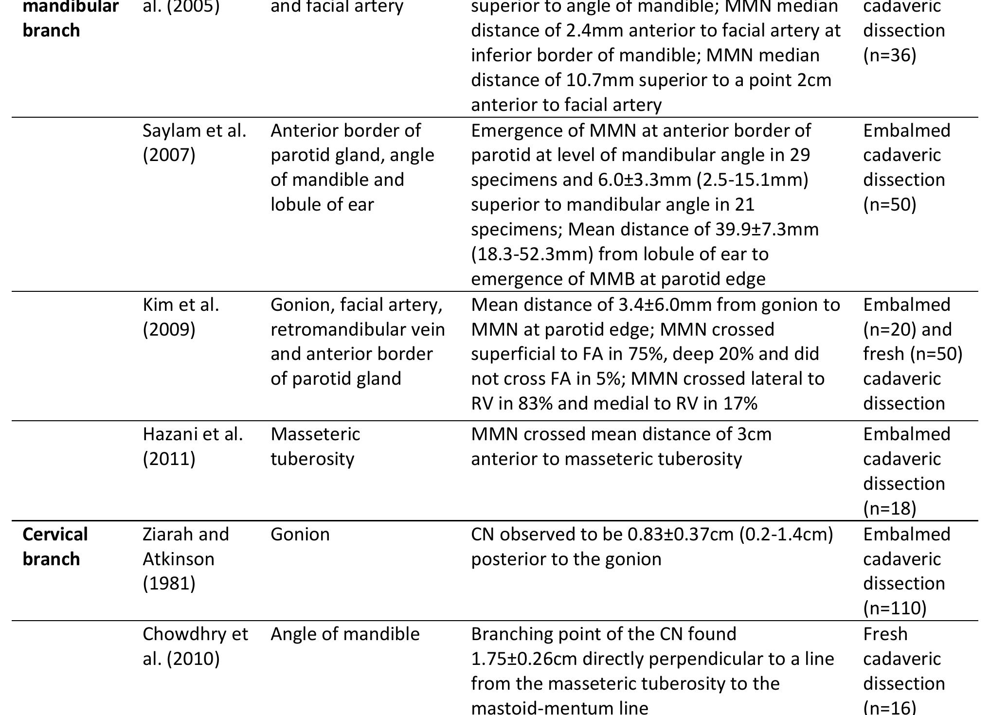 Bn, buccal branch of facial nerve; cn, cervical branch of
