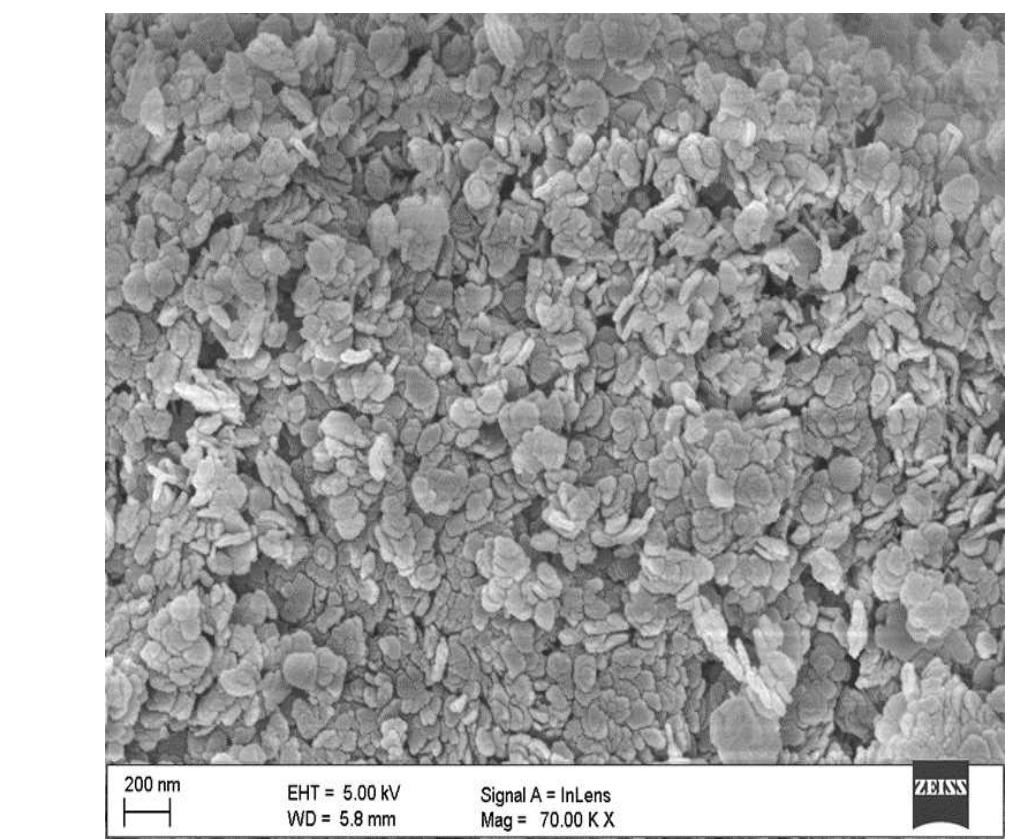 Sem image of mgo nanoparticles vigo nps, where the scale bar