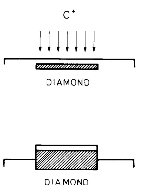 Schematic illustration of implant experiment, begin- ning