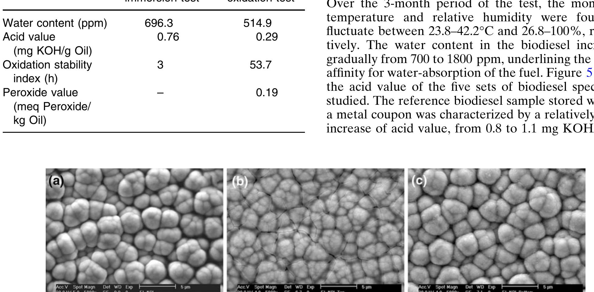 Long-term static immersion test fig. 2: surface morphology