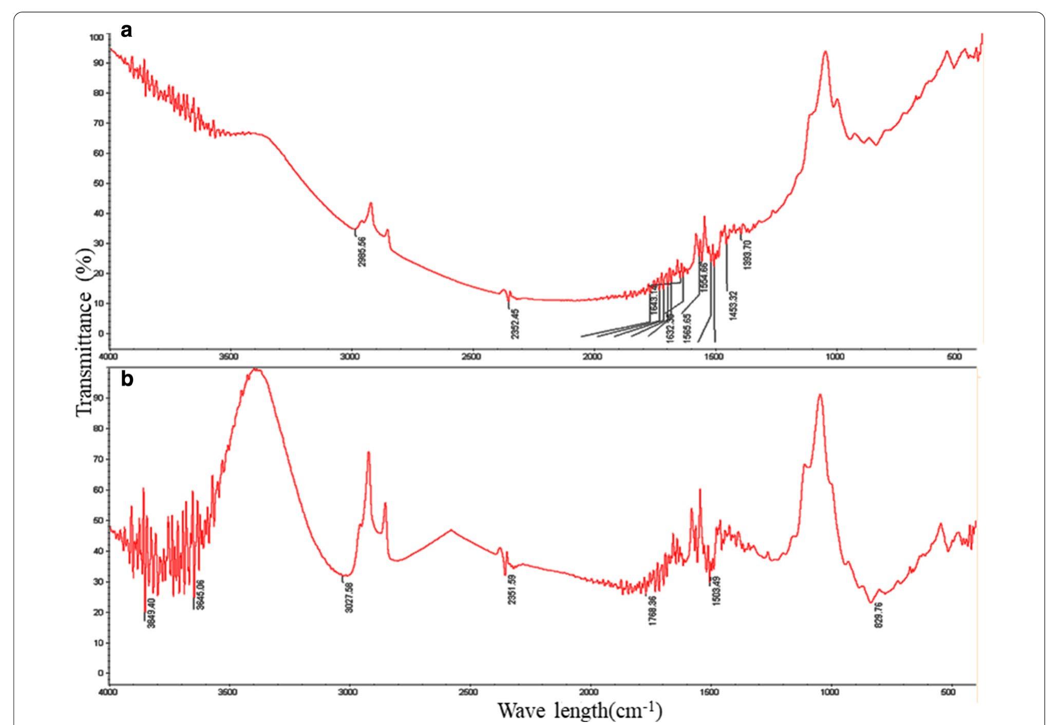 Ftir spectra of a control (0 h, only basal salt medium + mg)
