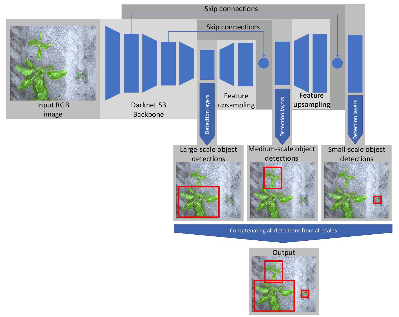 Schematic overview of the yolov3 object-detection network