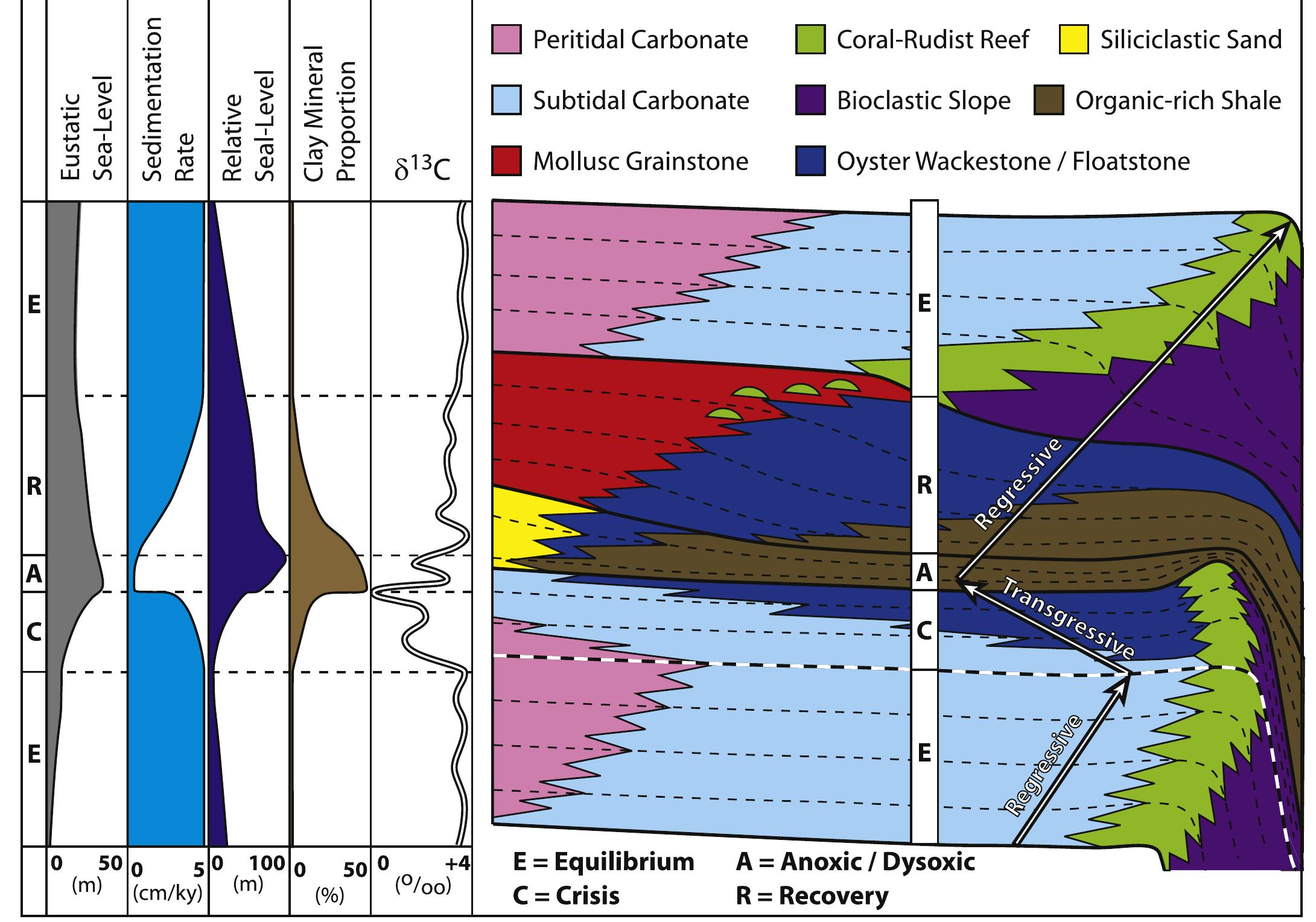 Schematic diagram illustrating phases of environmentally