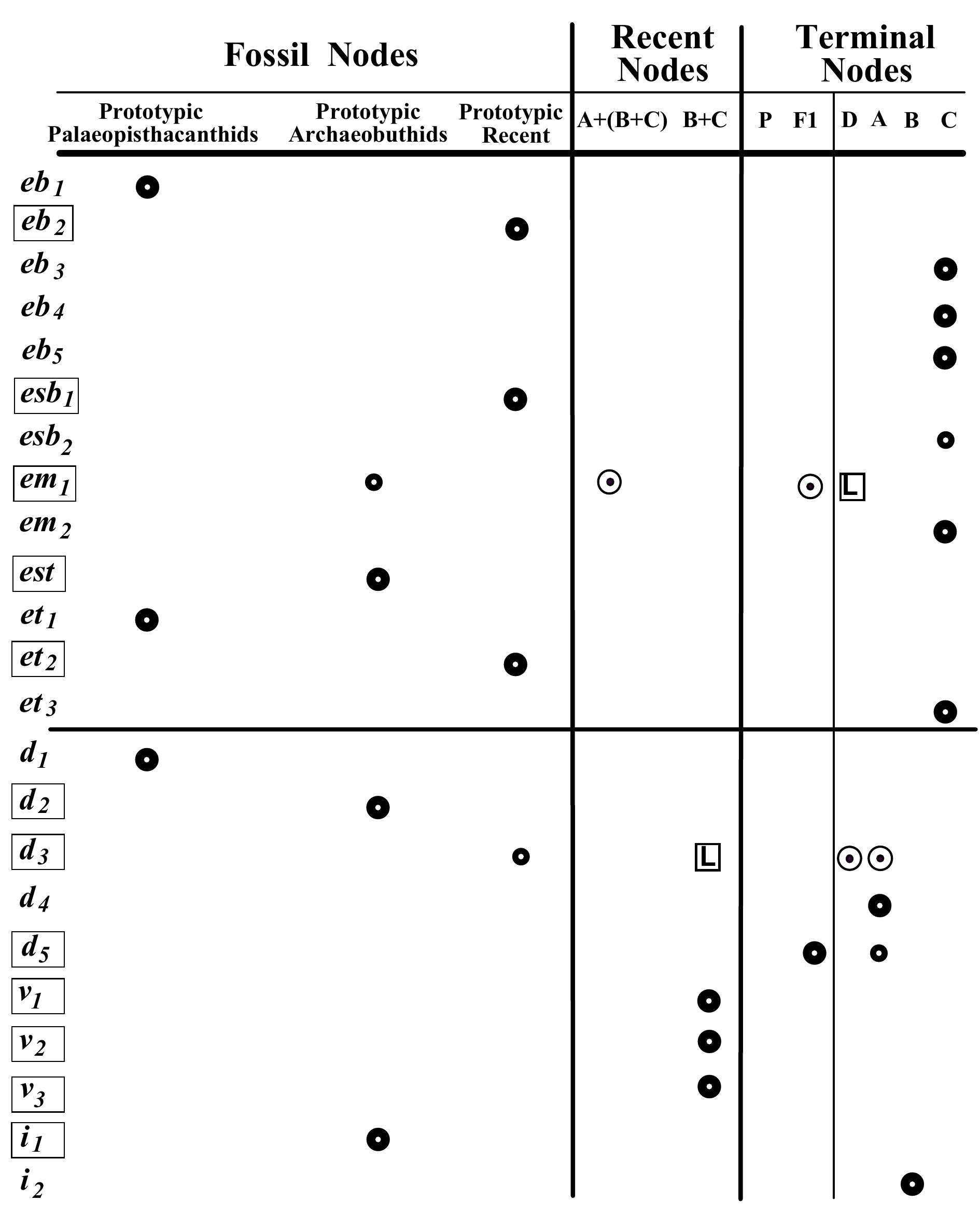E-2: derivation map of patellar orthobothriotaxy. see fig.