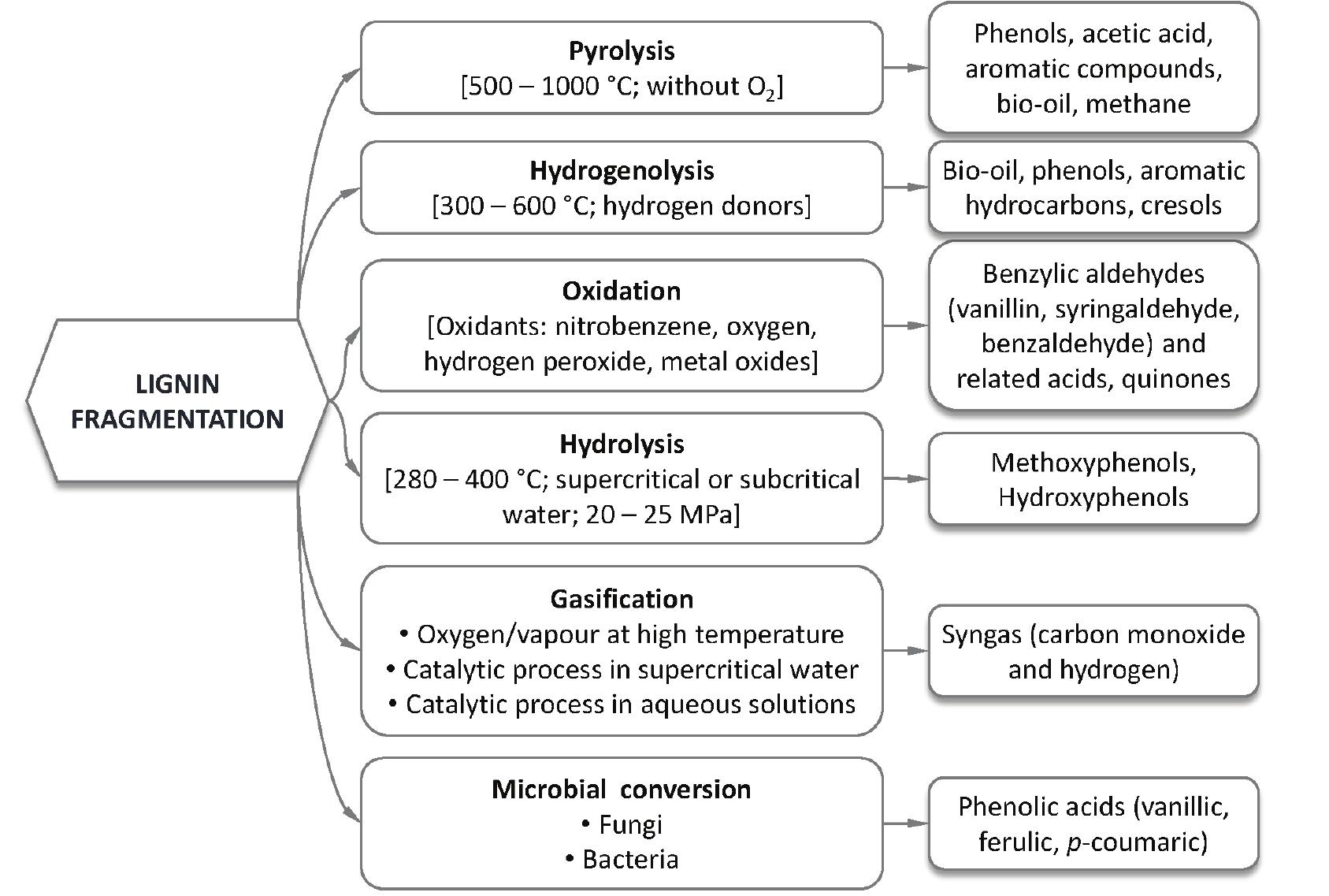 most common processes of lignin fragmentation and