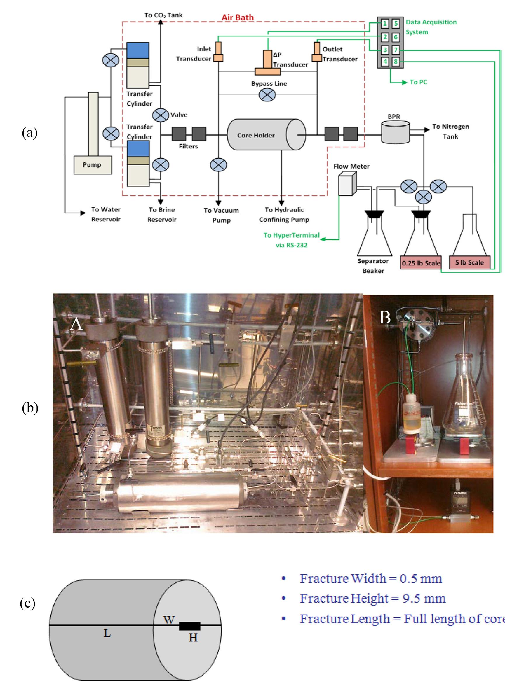 (a) schematic of the core flooding apparatus for intact and