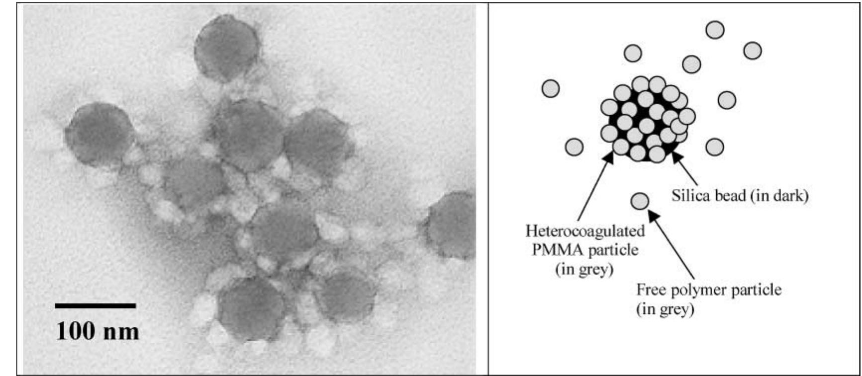 Tem micrograph of the silica/pmma nanocomposite latex