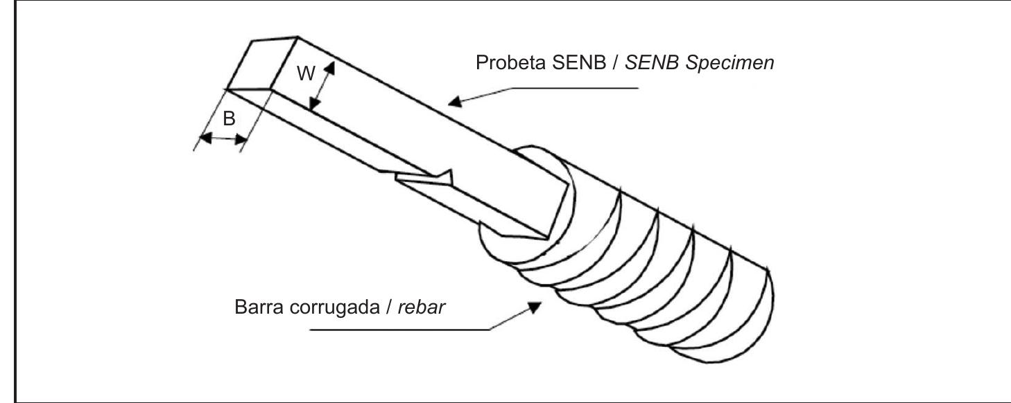 Ura 2. geometria de las probetas de fractura senb obtenidas