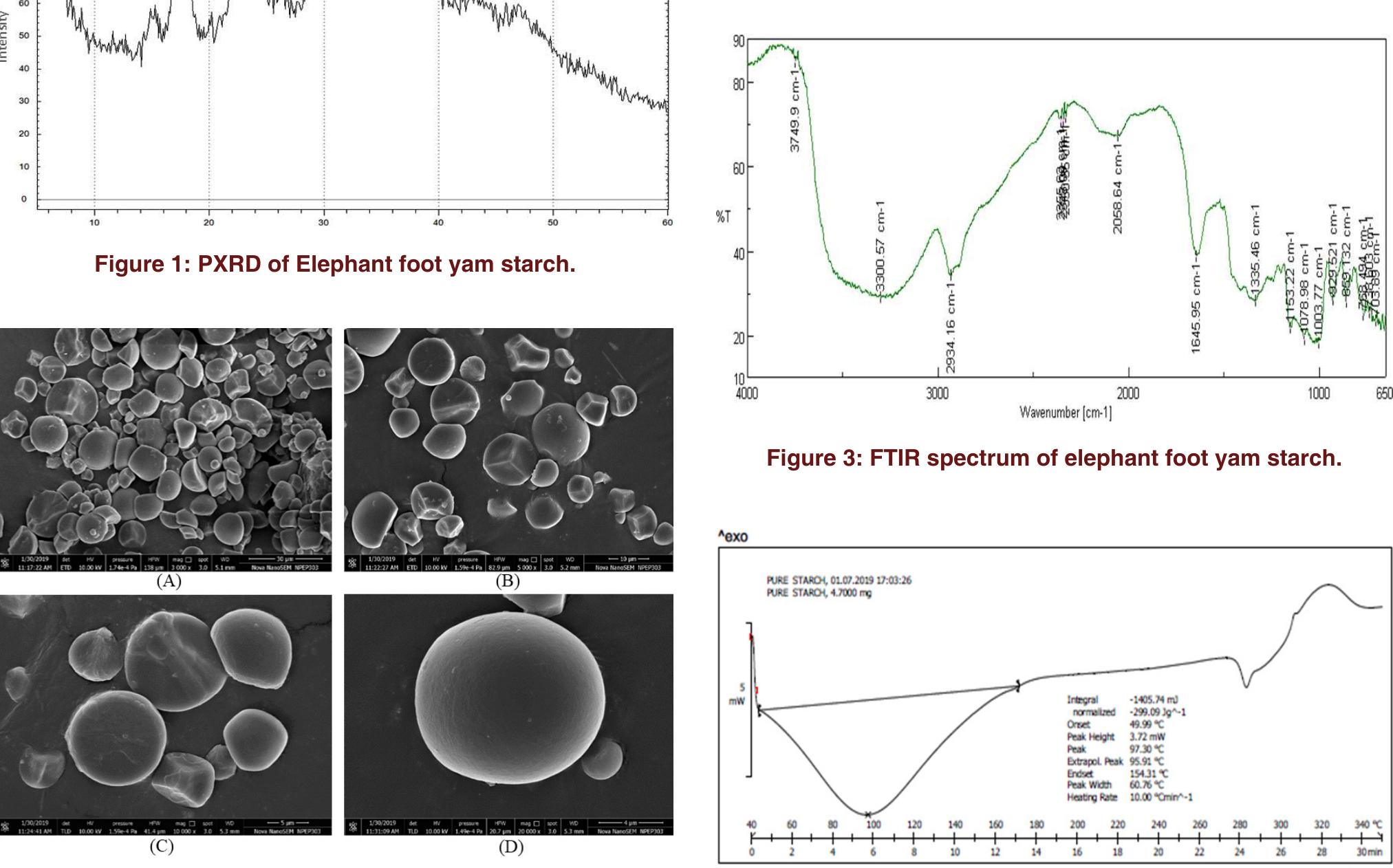 Sem images of elephant foot yam starch at different