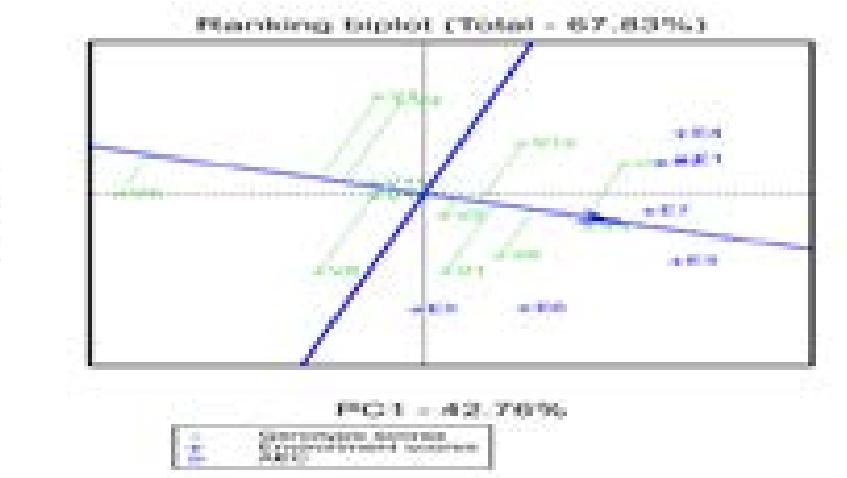 Gge Biplot Analysis Using Ranking Biplot Type By Scaling