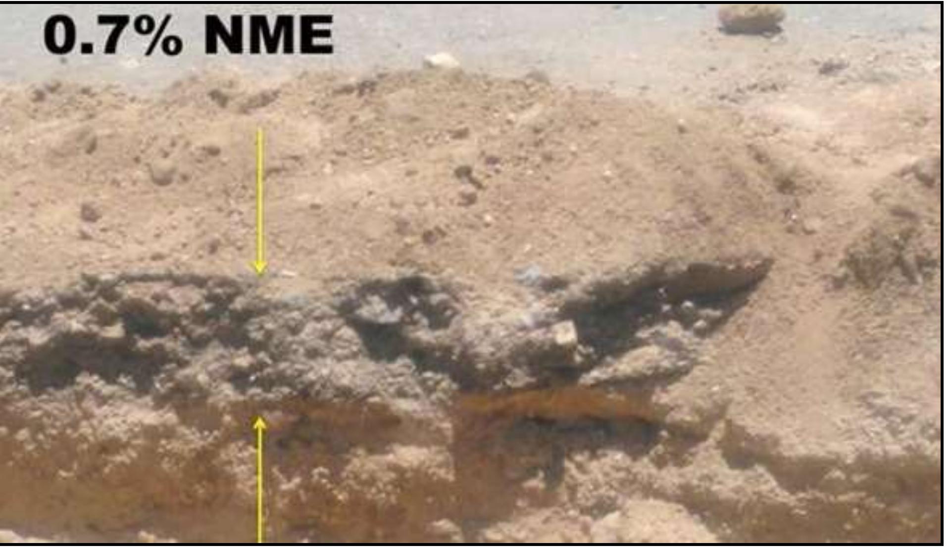 C6: weinert n-values for southern africa (weinert, 1980)